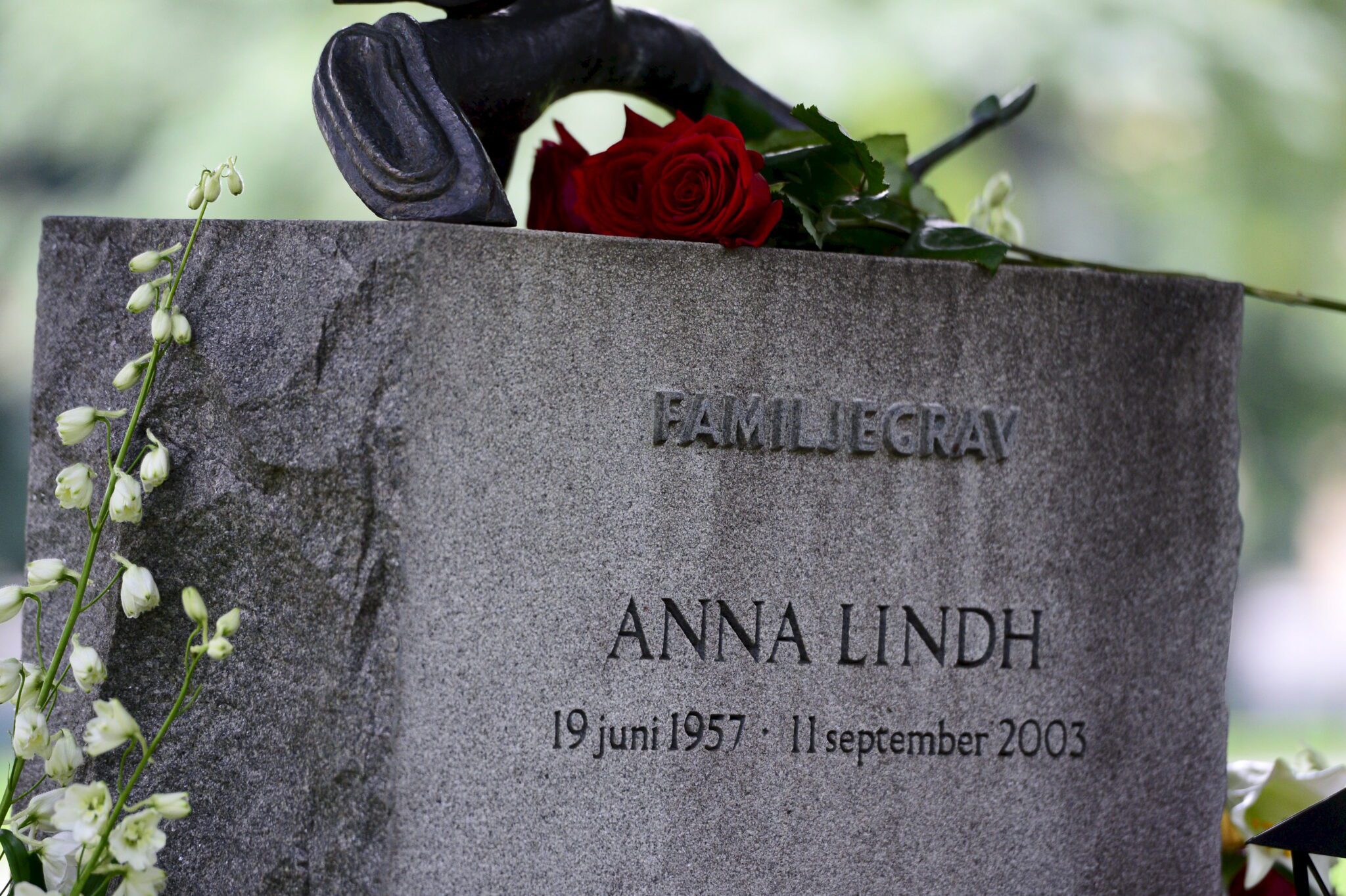 Anna Lindhs mördare hade politiskt motiv