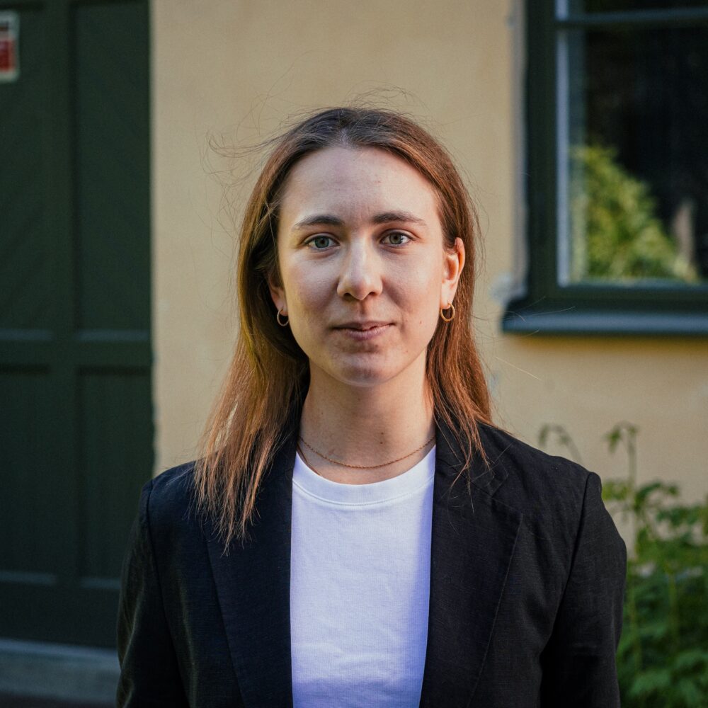 Fem myter om det låga barnafödandet